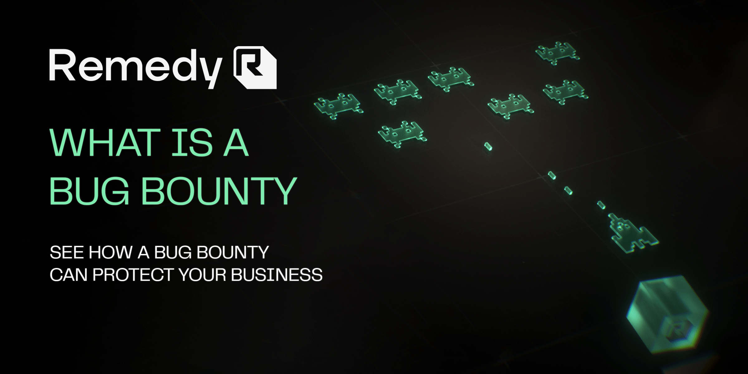 Remedy | What is a bug bounty?